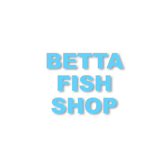Betta Fish Shop | Ocean's Floor, LLC